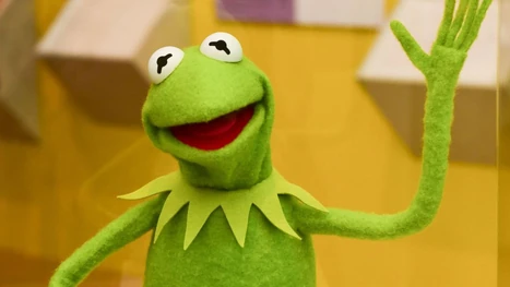 Hensonbatrachus | New ideas by Matt Weaver Wiki | Fandom