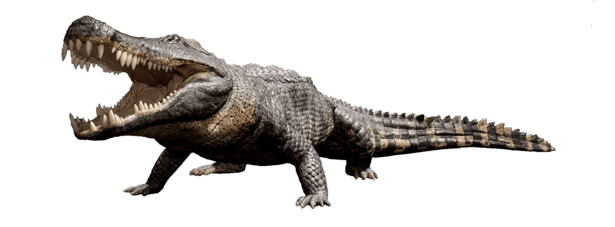 Phobosuchus-Scar Isle | New ideas by Matt Weaver Wiki | Fandom