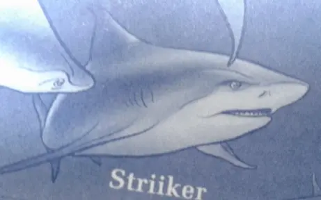 Striiker-shark wars | New ideas by Matt Weaver Wiki | Fandom