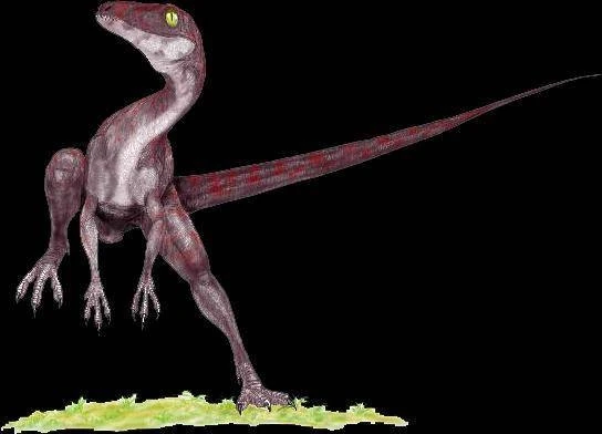 Coelurus | New ideas by Matt Weaver Wiki | Fandom