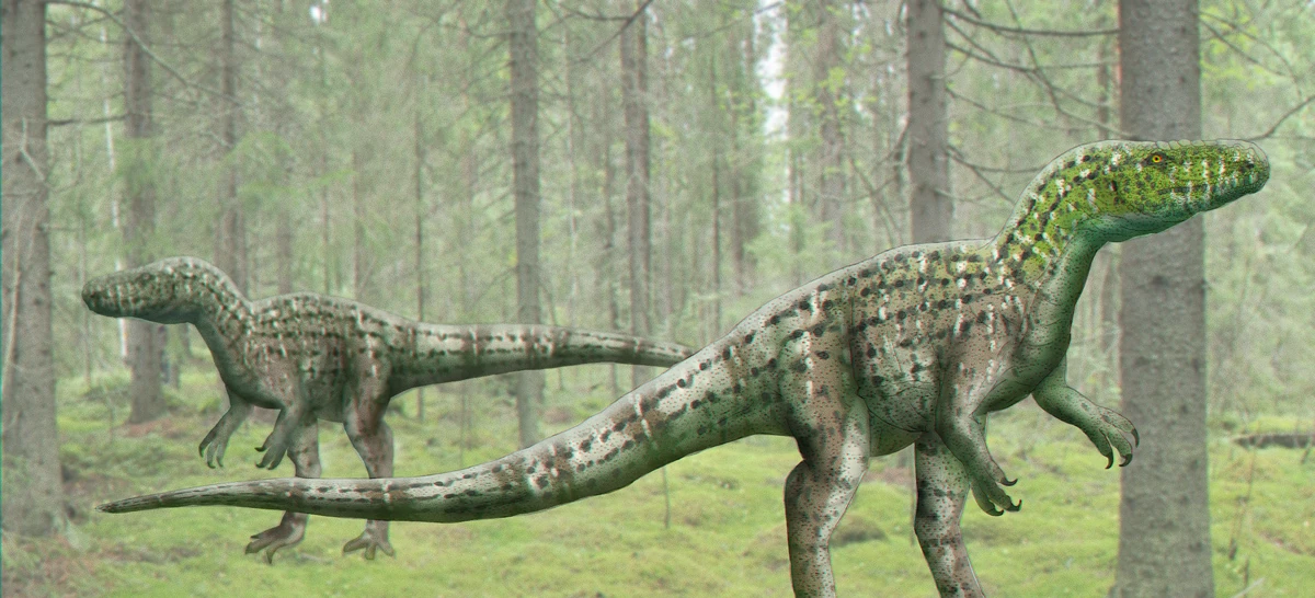 Poekilopleuron | New ideas by Matt Weaver Wiki | Fandom