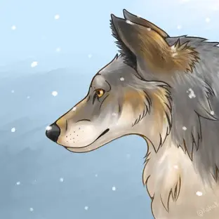 Northwestern Wolf (64 Zoo Lane) | New ideas by Matt Weaver Wiki | Fandom