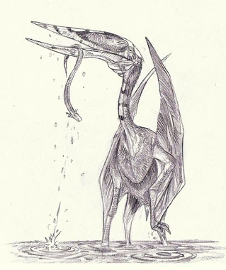 Alanqa-Dinosaur Age Animals (Discovery Kids Documentary) | New ideas by ...