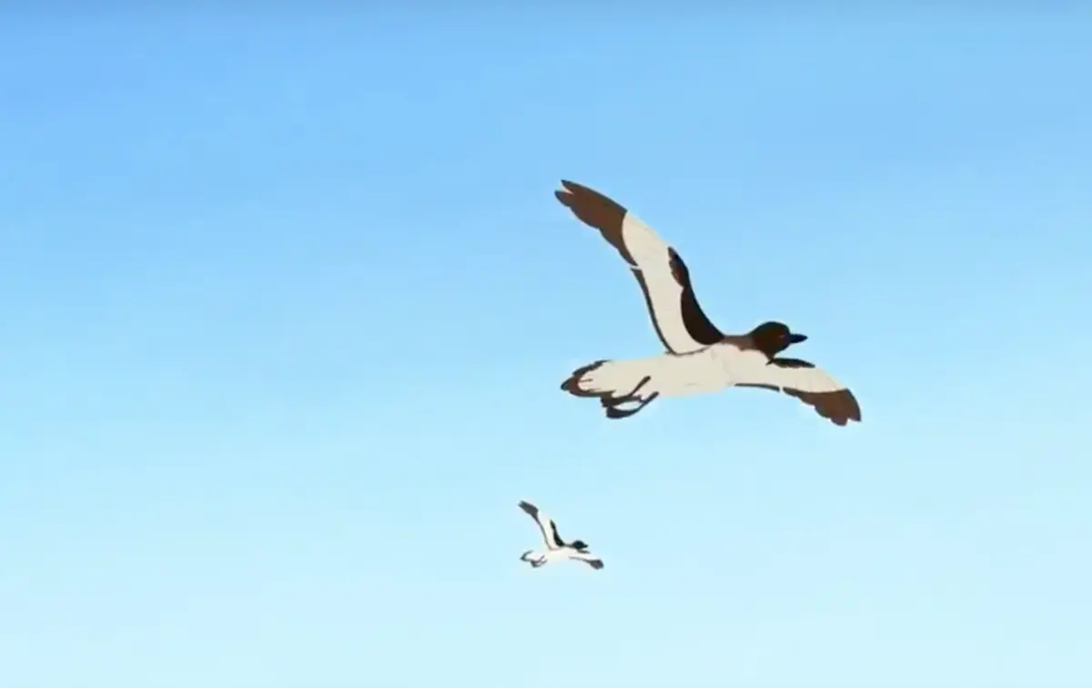 Wild Kratts-petral power flight | New ideas by Matt Weaver Wiki | Fandom