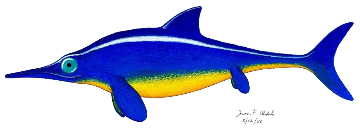 Baptanodon | New ideas by Matt Weaver Wiki | Fandom