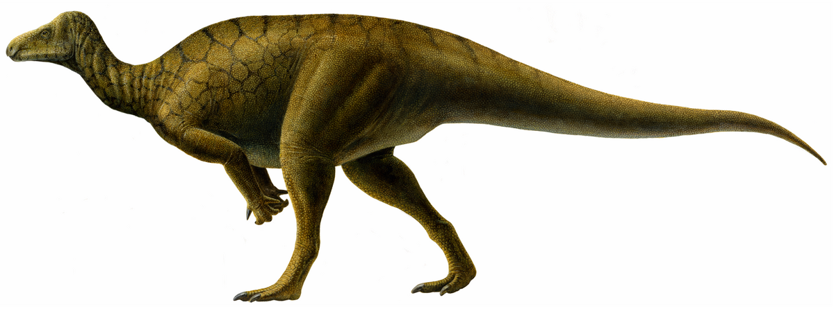 Hippodraco Jurassic Kratts Preview New Ideas By Matt Weaver Wiki Fandom