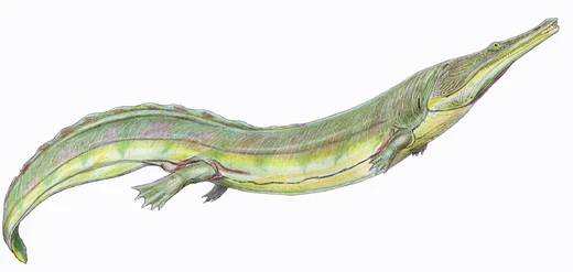 Trematosaurus | New ideas by Matt Weaver Wiki | Fandom