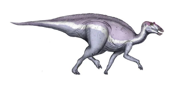 Secernosaurus | New ideas by Matt Weaver Wiki | Fandom