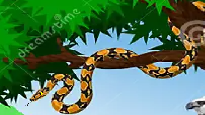 Buster Boa constrictor-splash and bubbles amazon | New ideas by Matt ...