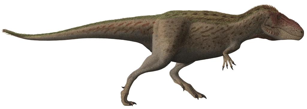 Animal Age 3 Dawn Of The Dinosaurs! | New ideas by Matt Weaver Wiki ...