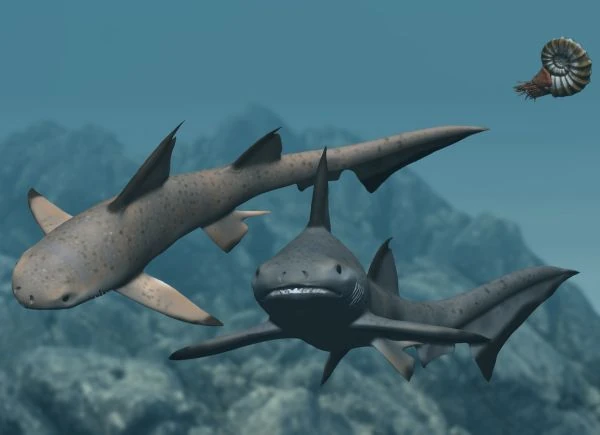 Hybodus facts-Jurassic Kratts | New ideas by Matt Weaver Wiki | Fandom