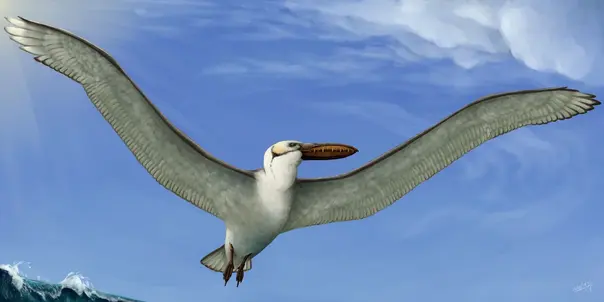 Pelagornis-the most extreme | New ideas by Matt Weaver Wiki | Fandom