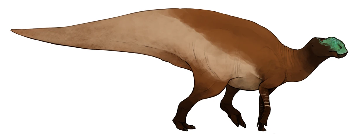 Hypsibema missouriensis | New ideas by Matt Weaver Wiki | Fandom