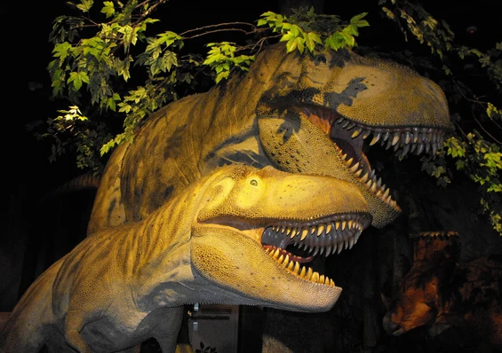 Daspletosaurus | New ideas by Matt Weaver Wiki | Fandom