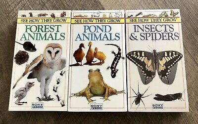 See how they grow-DVDs Insects and Spiders | New ideas by Matt Weaver ...