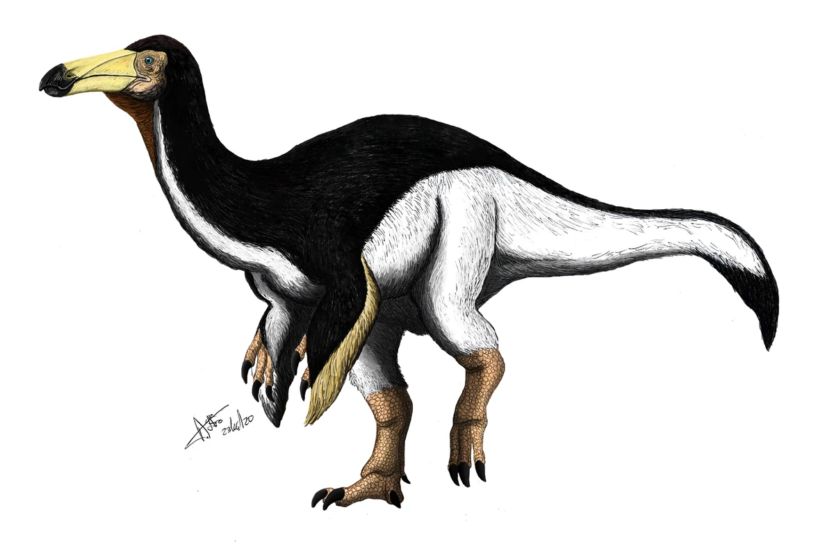 Paraxenisaurus | New ideas by Matt Weaver Wiki | Fandom
