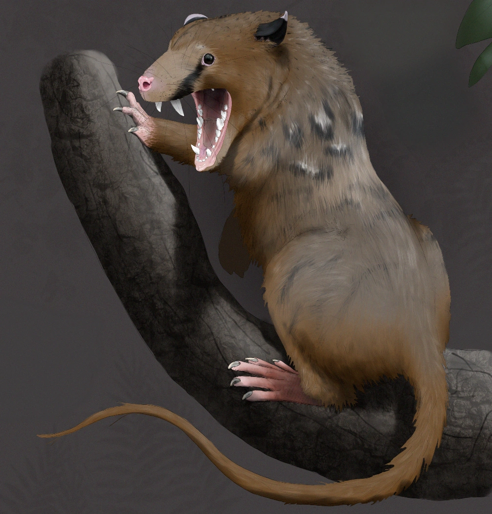 Deltatheridium Dinosaur Planet Remake New Ideas By Matt Weaver Wiki