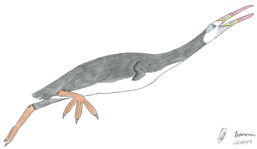Hesperornis | New ideas by Matt Weaver Wiki | Fandom