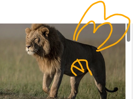 BUMBLELIONS FROM WUZZLES | New ideas by Matt Weaver Wiki | Fandom