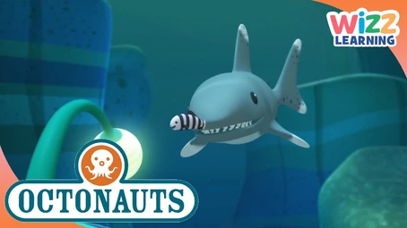 The Octonauts and the pilot fish | New ideas by Matt Weaver Wiki | Fandom