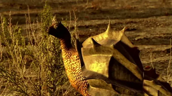 Desert Hopper-the future is wild series | New ideas by Matt Weaver Wiki ...