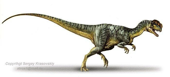 Dracovenator | New ideas by Matt Weaver Wiki | Fandom