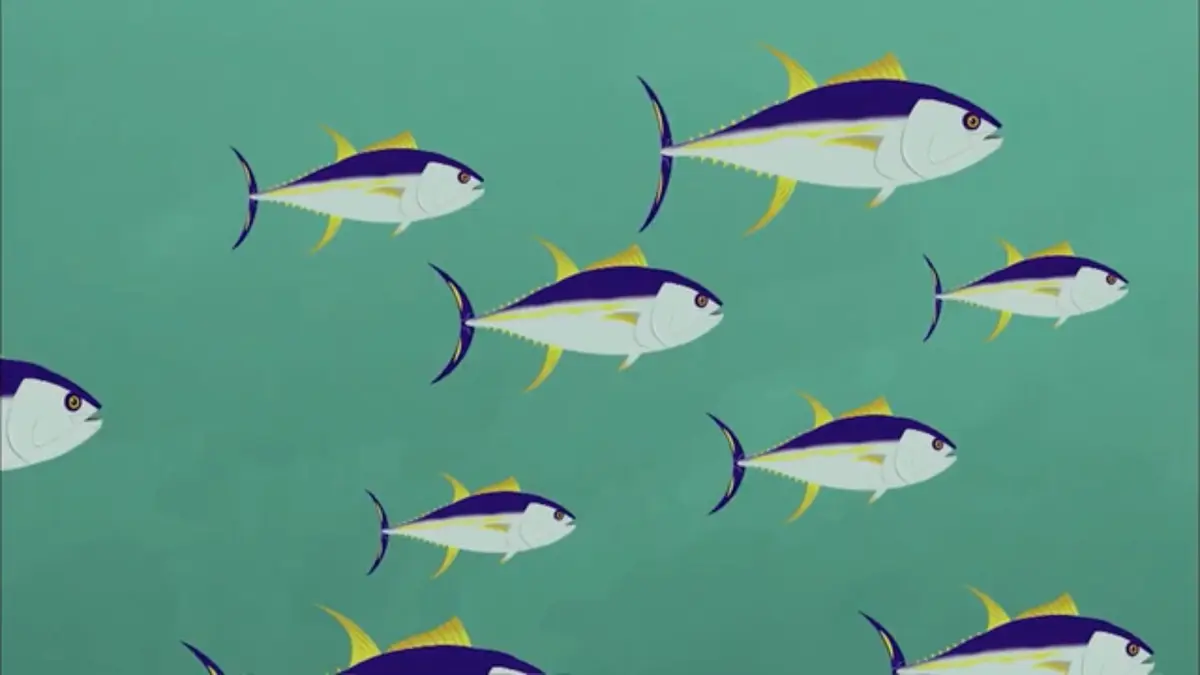 Tuna power-wild kratts | New ideas by Matt Weaver Wiki | Fandom