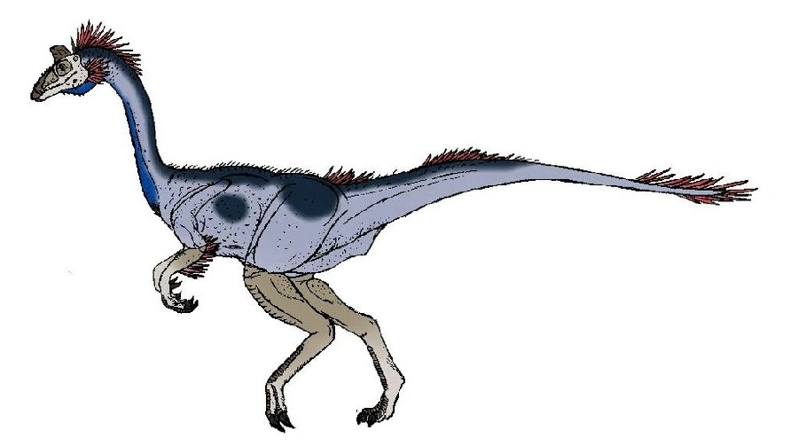 Garudimimus | New ideas by Matt Weaver Wiki | Fandom