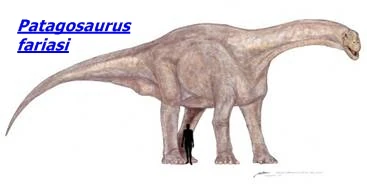 Patagosaurus-LBT idea | New ideas by Matt Weaver Wiki | Fandom