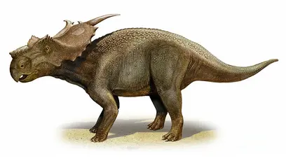 Achelousaurus-Dinosaur planet remake | New ideas by Matt Weaver Wiki ...
