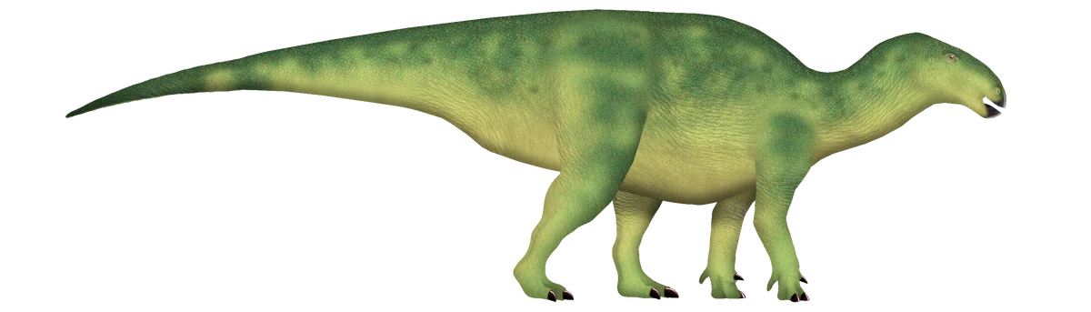 Dinossauro Rei Lanzhousaurus