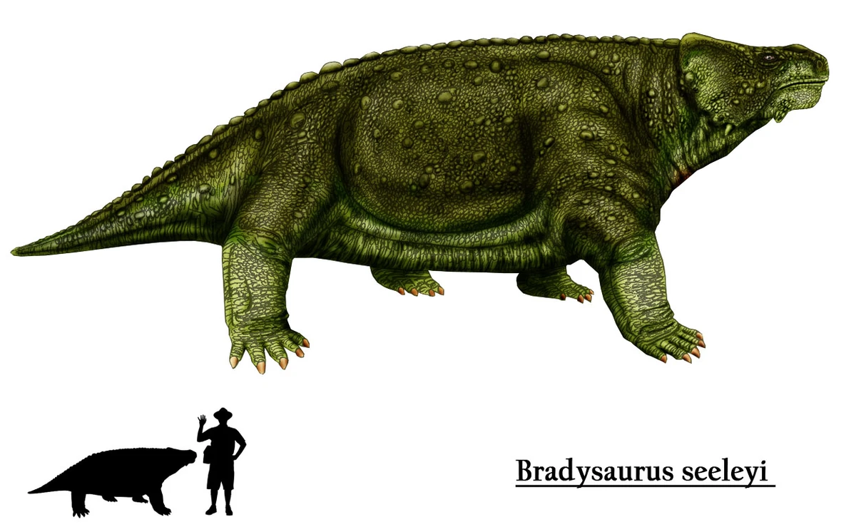 Bradysaurus | New ideas by Matt Weaver Wiki | Fandom