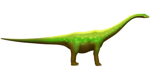 Diplodocus Dinosaur Train New Ideas By Matt Weaver Wiki Fandom