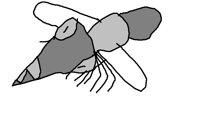 Drill-bitbugs-dinotrux | New ideas by Matt Weaver Wiki | Fandom