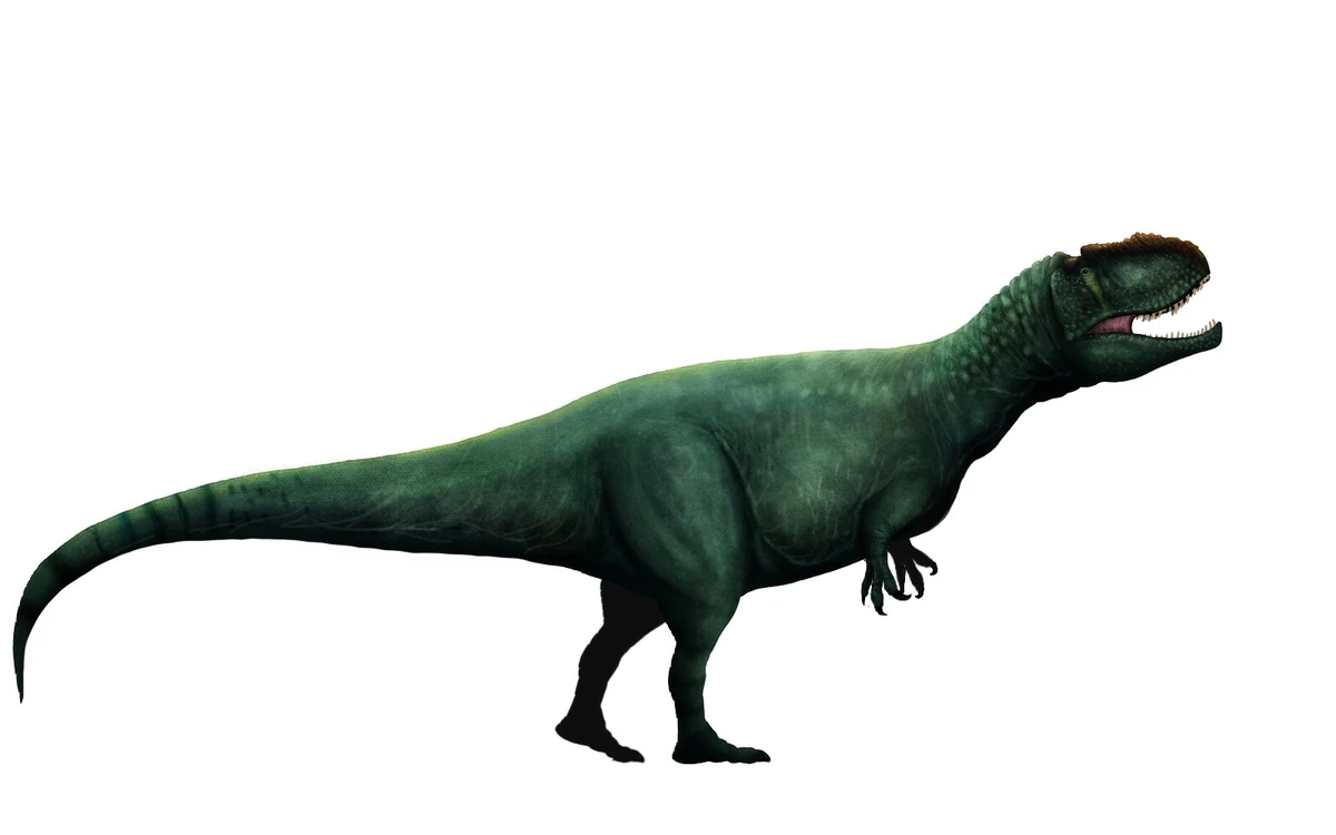 Yang Yangchaunosaurus-splash and bubbles prehistoric | New ideas by ...