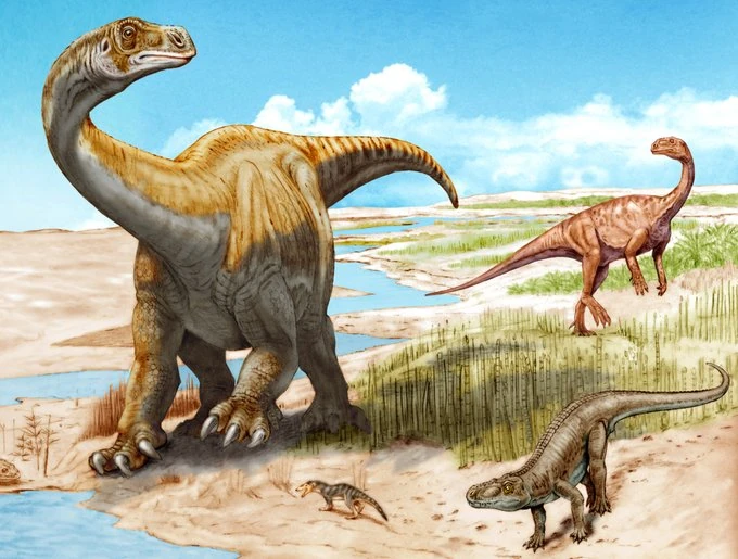 New LBT creatures 08 | New ideas by Matt Weaver Wiki | Fandom