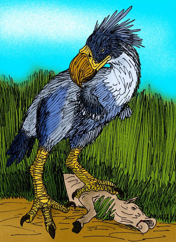 Wild kratts prehistoric preview-terror birds are go | New ideas by Matt ...