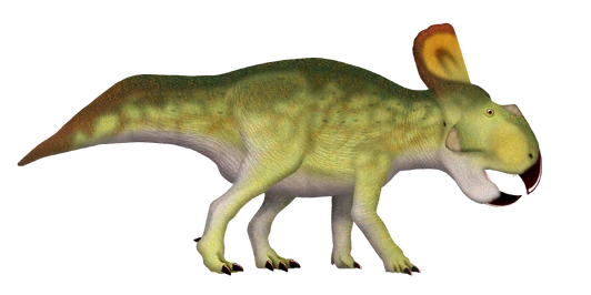 Protoceratops | New ideas by Matt Weaver Wiki | Fandom