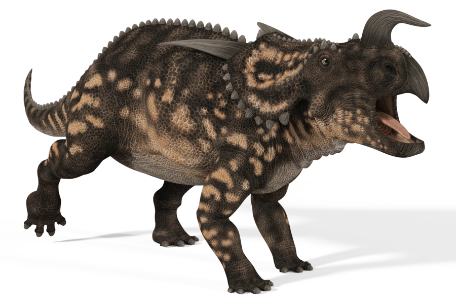 Jurassic kratts-einiosaurus power | New ideas by Matt Weaver Wiki | Fandom