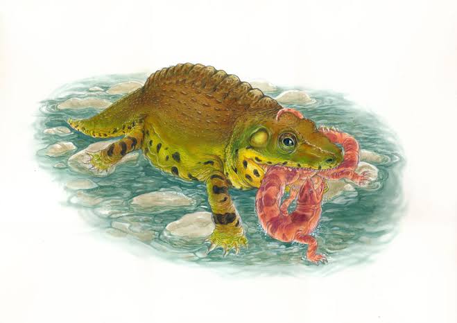 Cacops New Ideas By Matt Weaver Wiki Fandom