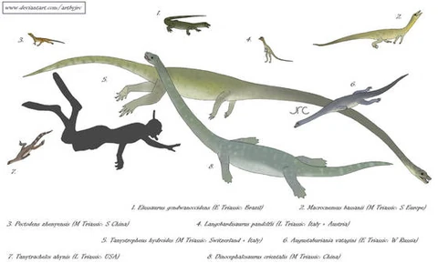 Tanystropheus-LBT preview 1 | New ideas by Matt Weaver Wiki | Fandom