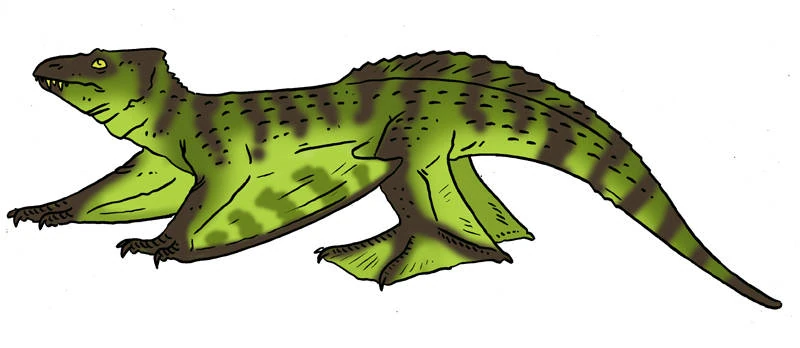 Leg-winged draco lizard | New ideas by Matt Weaver Wiki | Fandom