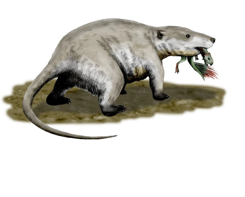 New LBT creatures 02 | New ideas by Matt Weaver Wiki | Fandom