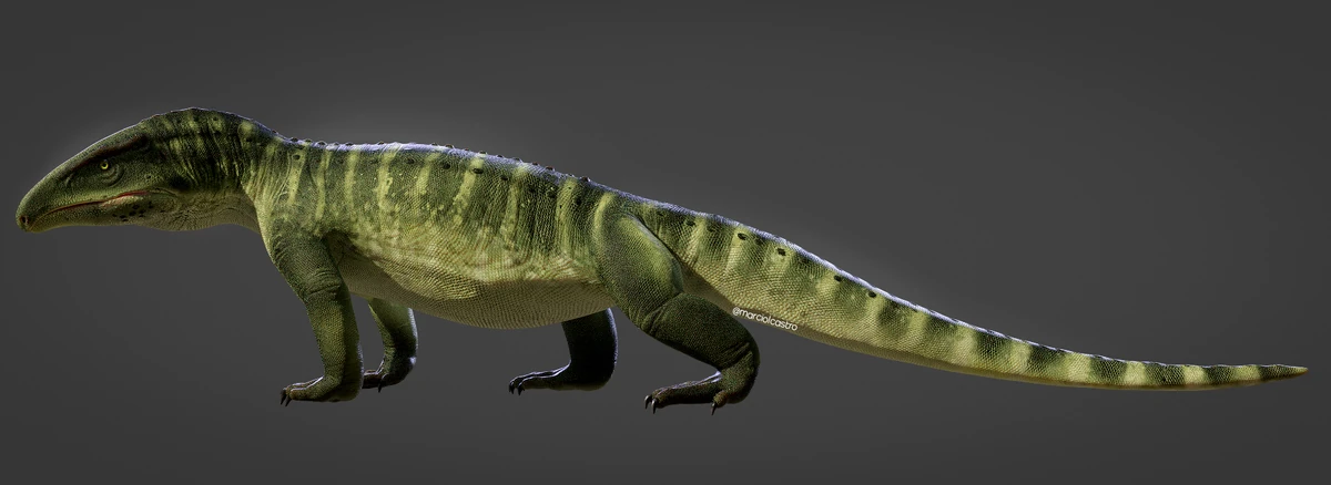 New creatures of the Land Before Time netflix series 1 | New ideas by ...