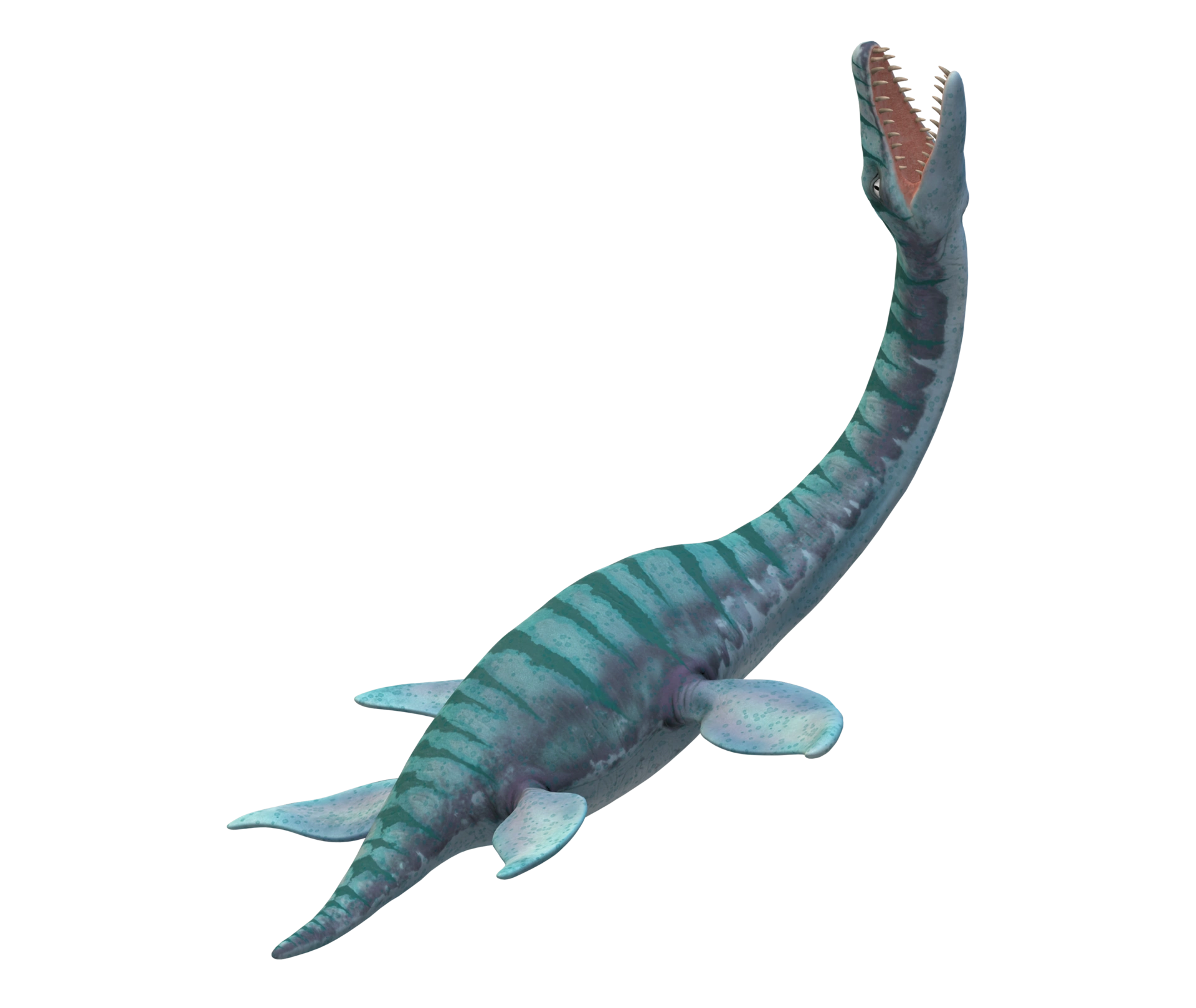 Plesiosaur Fuarthas Beo
