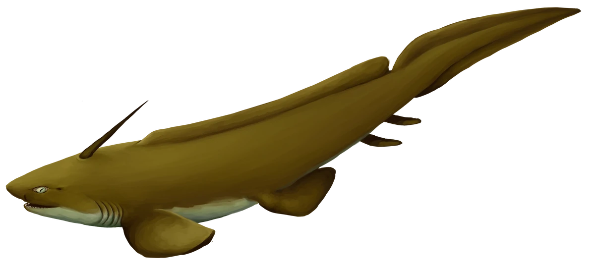 Xenacanthus-wild kratts prehistoric | New ideas by Matt Weaver Wiki ...