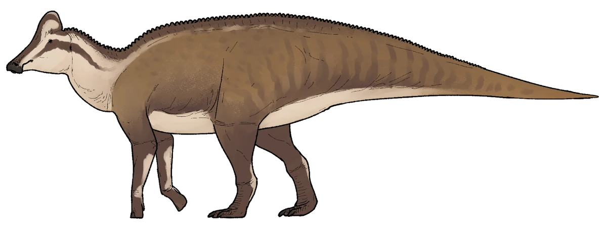Minqaria | New ideas by Matt Weaver Wiki | Fandom