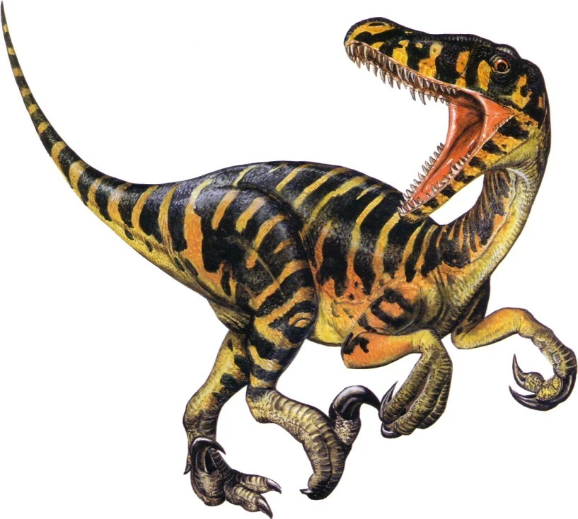 Velociraptor--Dinosaur Age Animals (Discovery Kids Documentary) | New ...