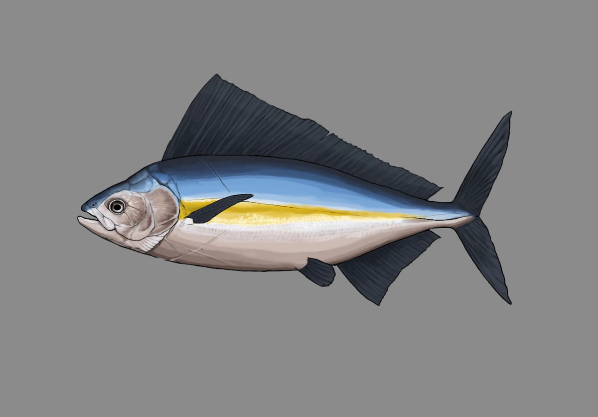 Bananogmius | New ideas by Matt Weaver Wiki | Fandom