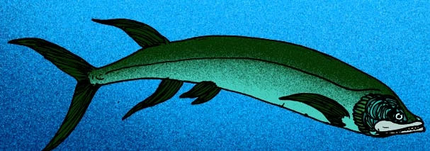 Gillicus | New ideas by Matt Weaver Wiki | Fandom